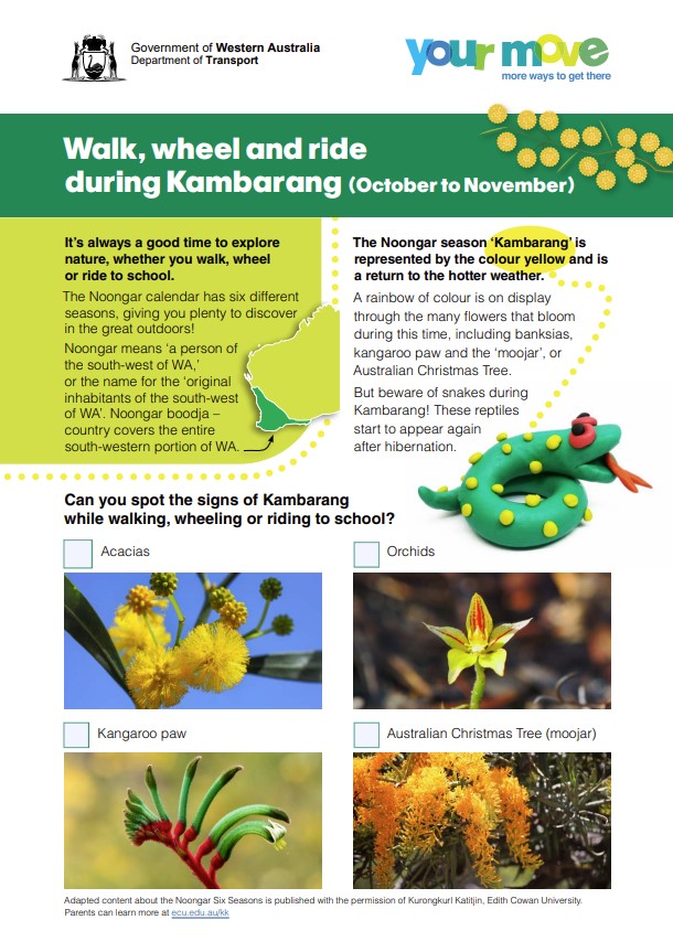 Your Move | NEW class activity - Walk, wheel, and ride through the ...